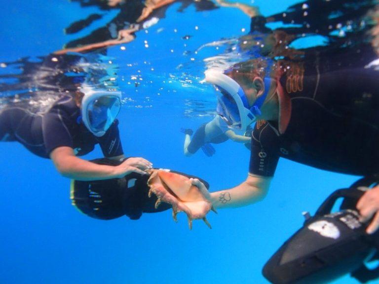 Eco Sea Scooter Snorkeling tour – Moorea – Tahiti | The Official Travel ...